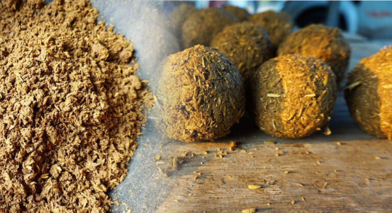 การทำ EM Ball เพื่อบำบัดน้ำเสีย - Withikaset.com